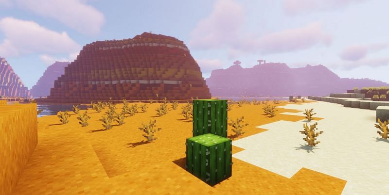 Cactus in Minecraft: Everything players need to know - Sportskeeda ...