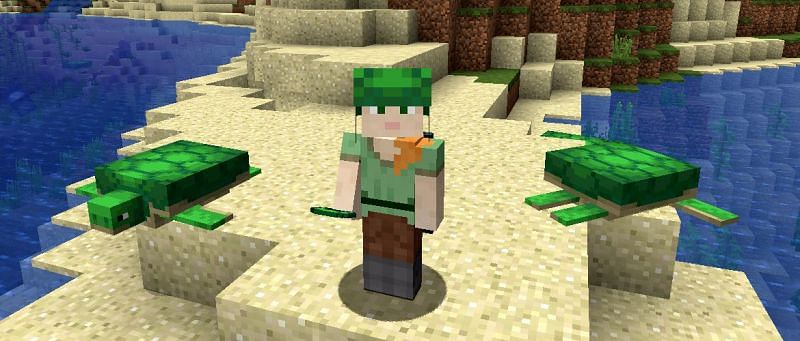 How to get turtle shells in Minecraft: Pocket Edition - Sportskeeda ...
