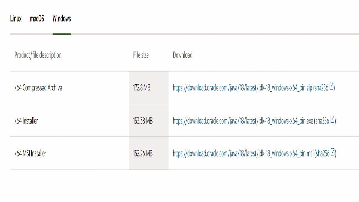 How to Fix a JNI Error Has Occurred in Minecraft - Twinfinite - moKoKil